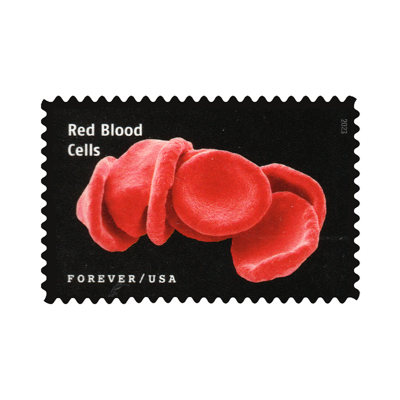2023 USPS Life Magnified Forever Stamps 100Pcs/Pack