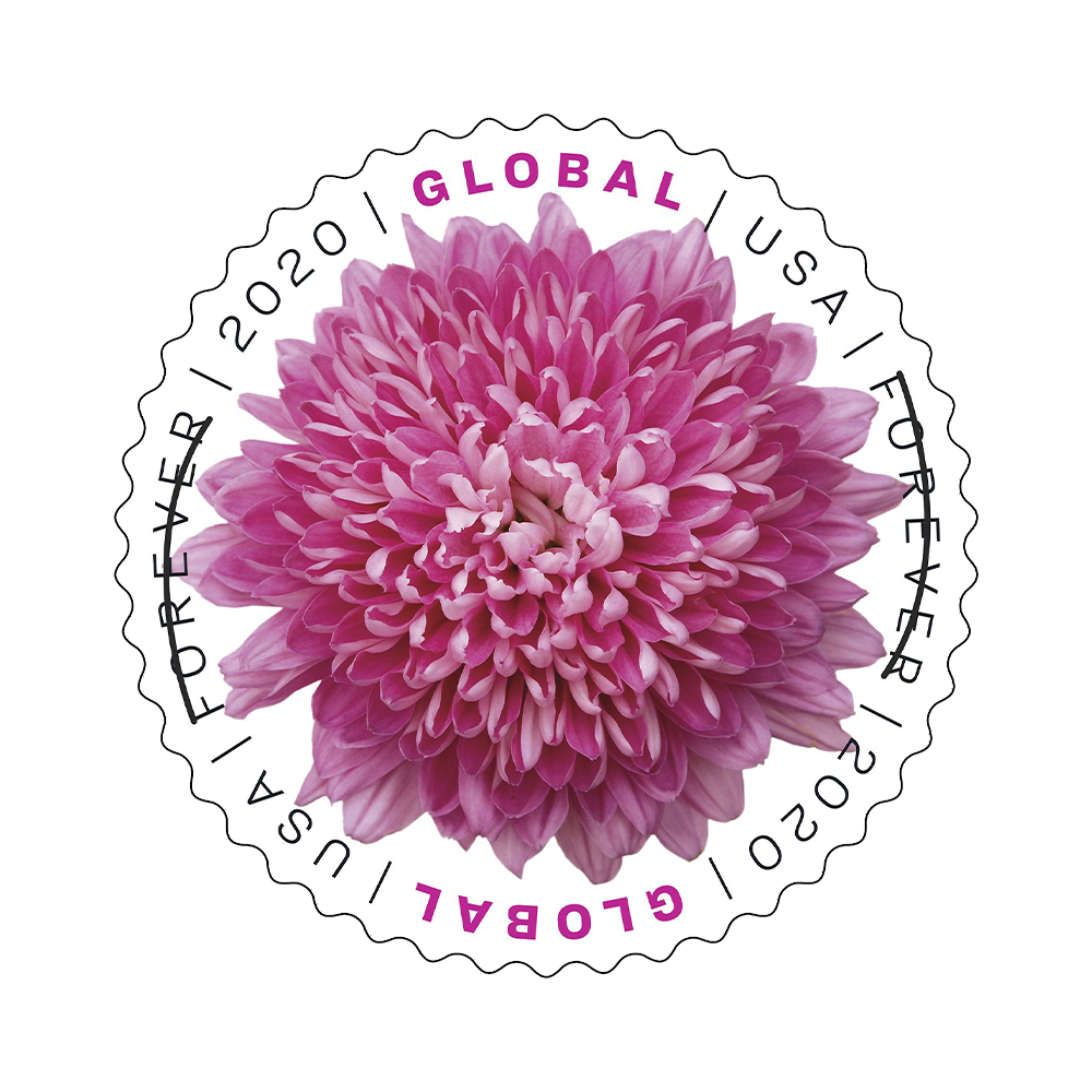 2020 USPS Chrysanthemum Global Forever Stamps 100Pcs/2Packs